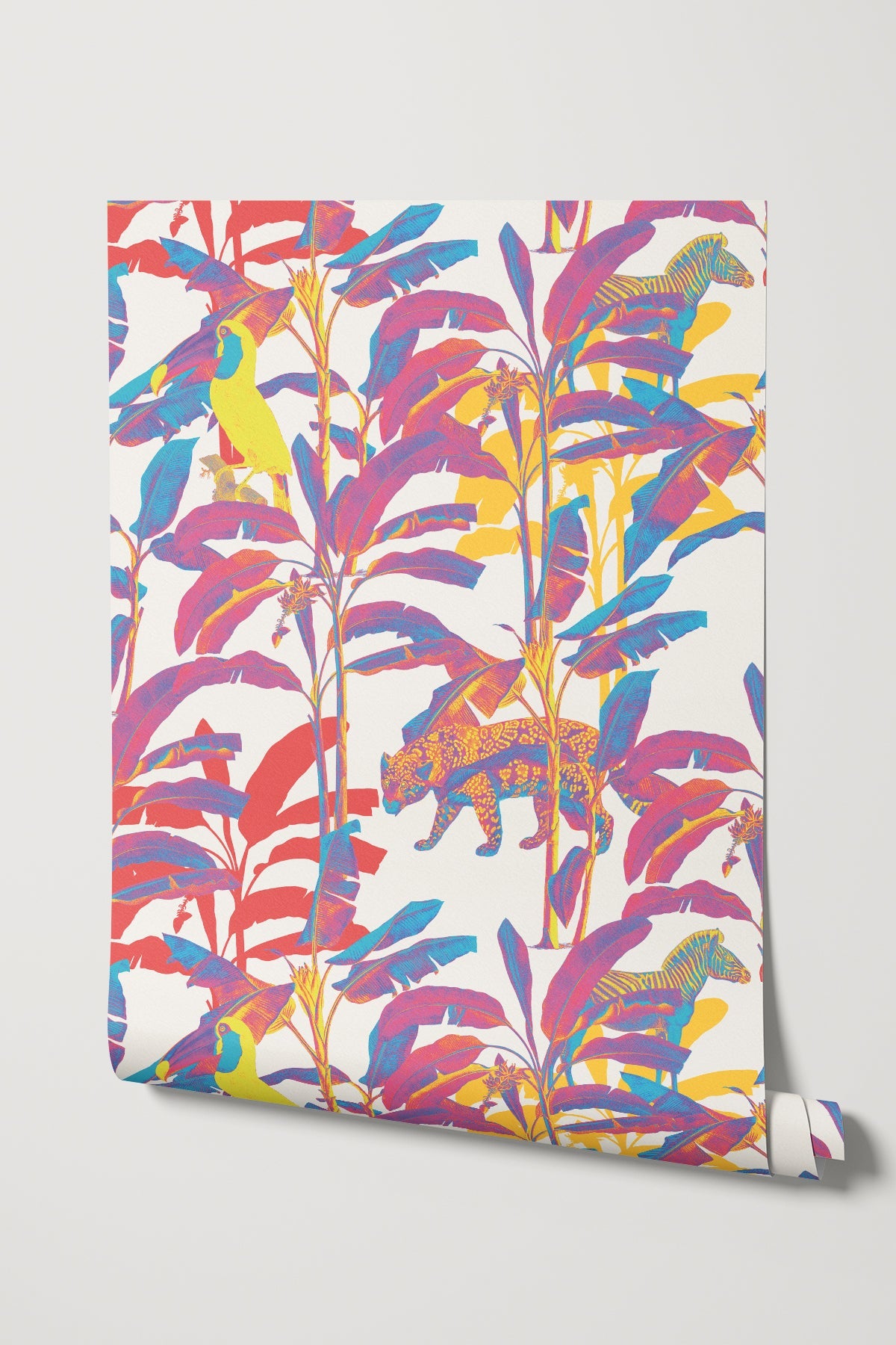 Funk in Congo Pink Wallpaper - Eazywallz