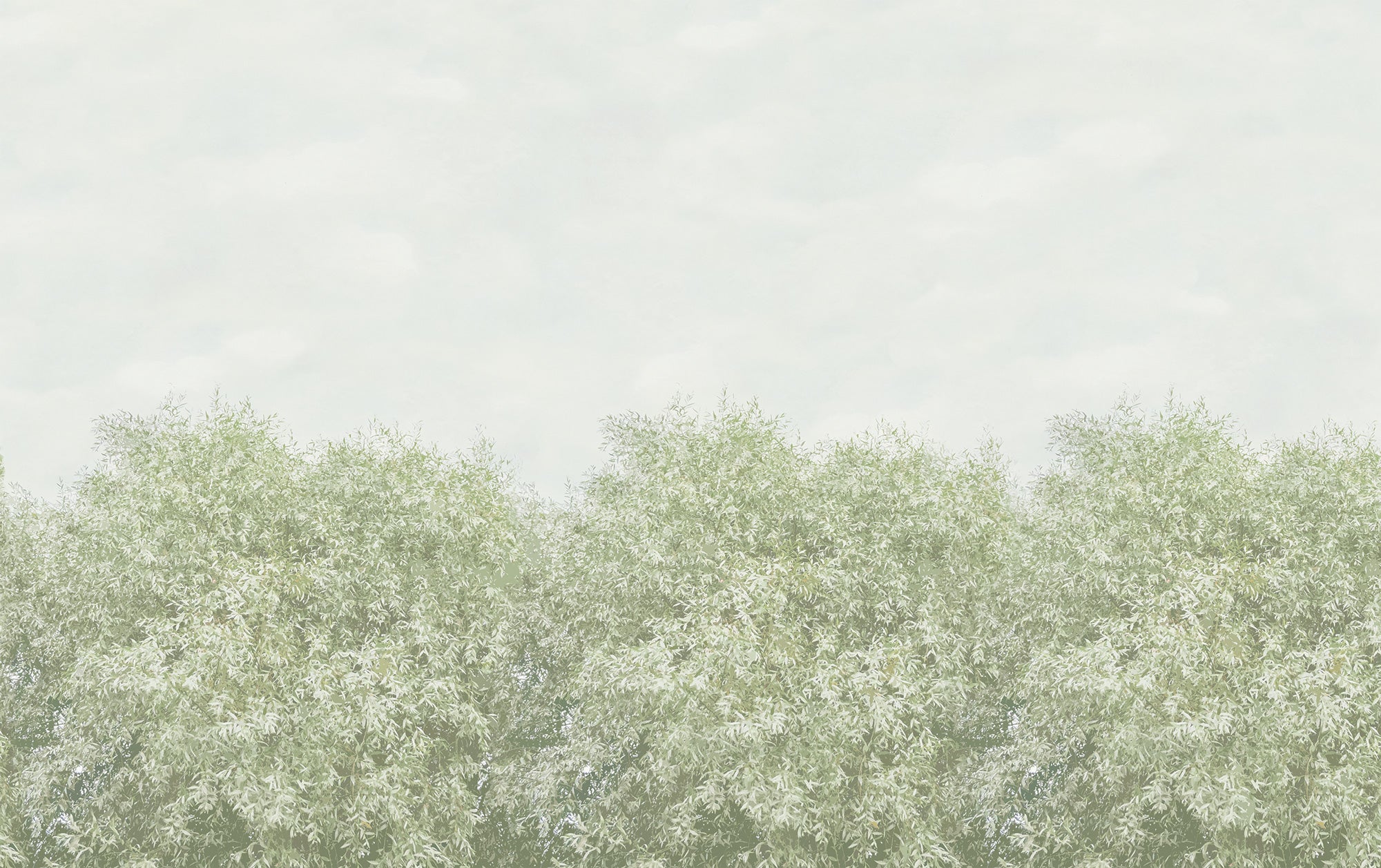 Garden Treeline Wall Mural – Eazywallz
