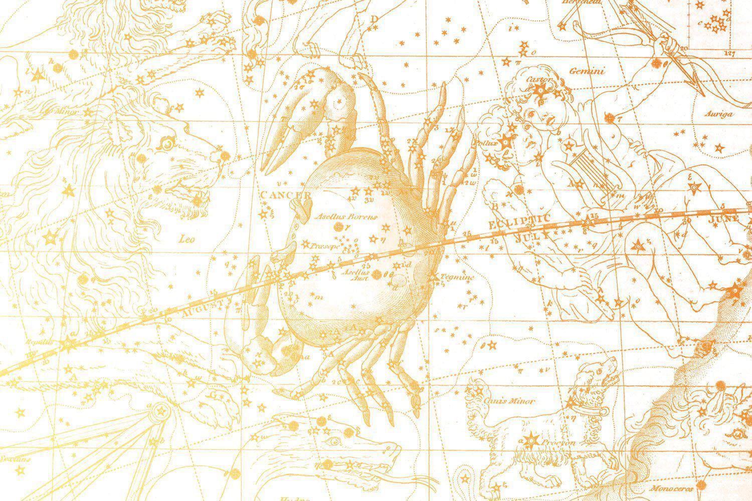 Coral Cancer Astrology Wall Mural | Removable Wallpaper | Eazywallz