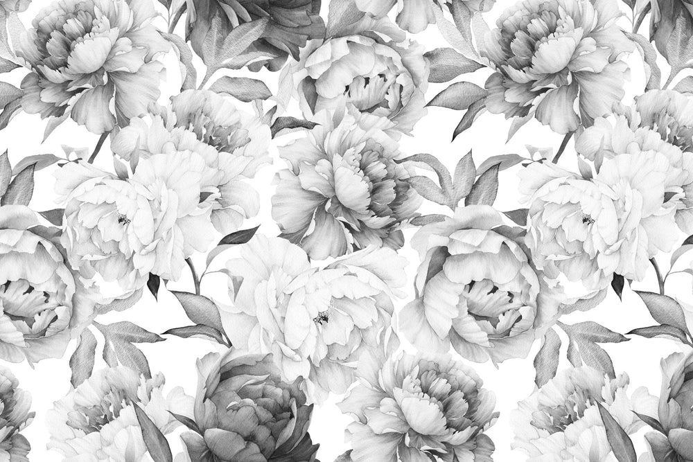 Black and white Peonies Wall Mural | Eazywallz