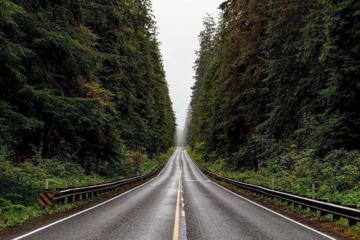 Long Road Home Wall Mural | Eazywallz