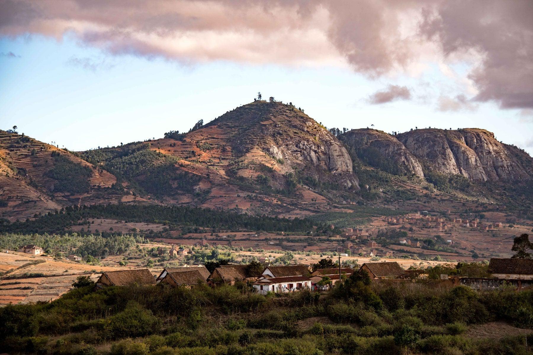 Madagascar Landscape Wall Mural | Nature Wallpaper | Eazywallz