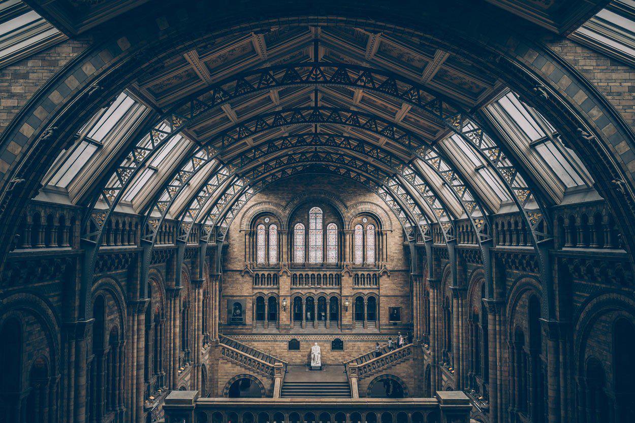 Night At The Museum Wallpaper