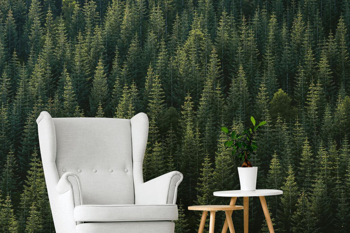 Perfect Tree Forest Line Wall Mural | Eazywallz
