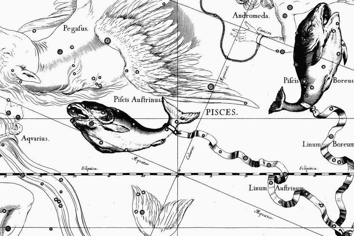 Pisces Constellation Map Wall Mural | Eazywallz