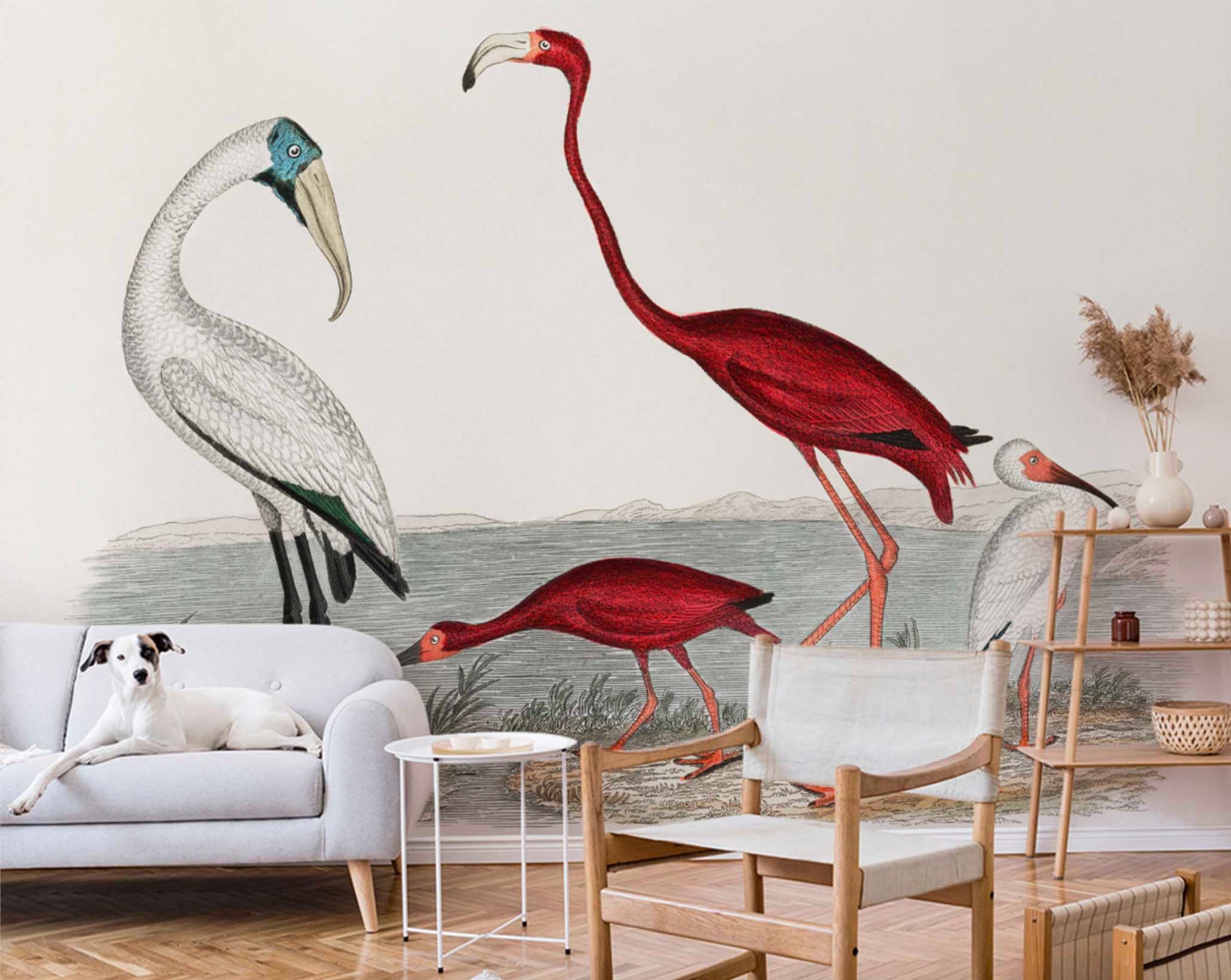 Scarlet Flamingo Vintage Wall Mural | Birds of America | Eazywallz