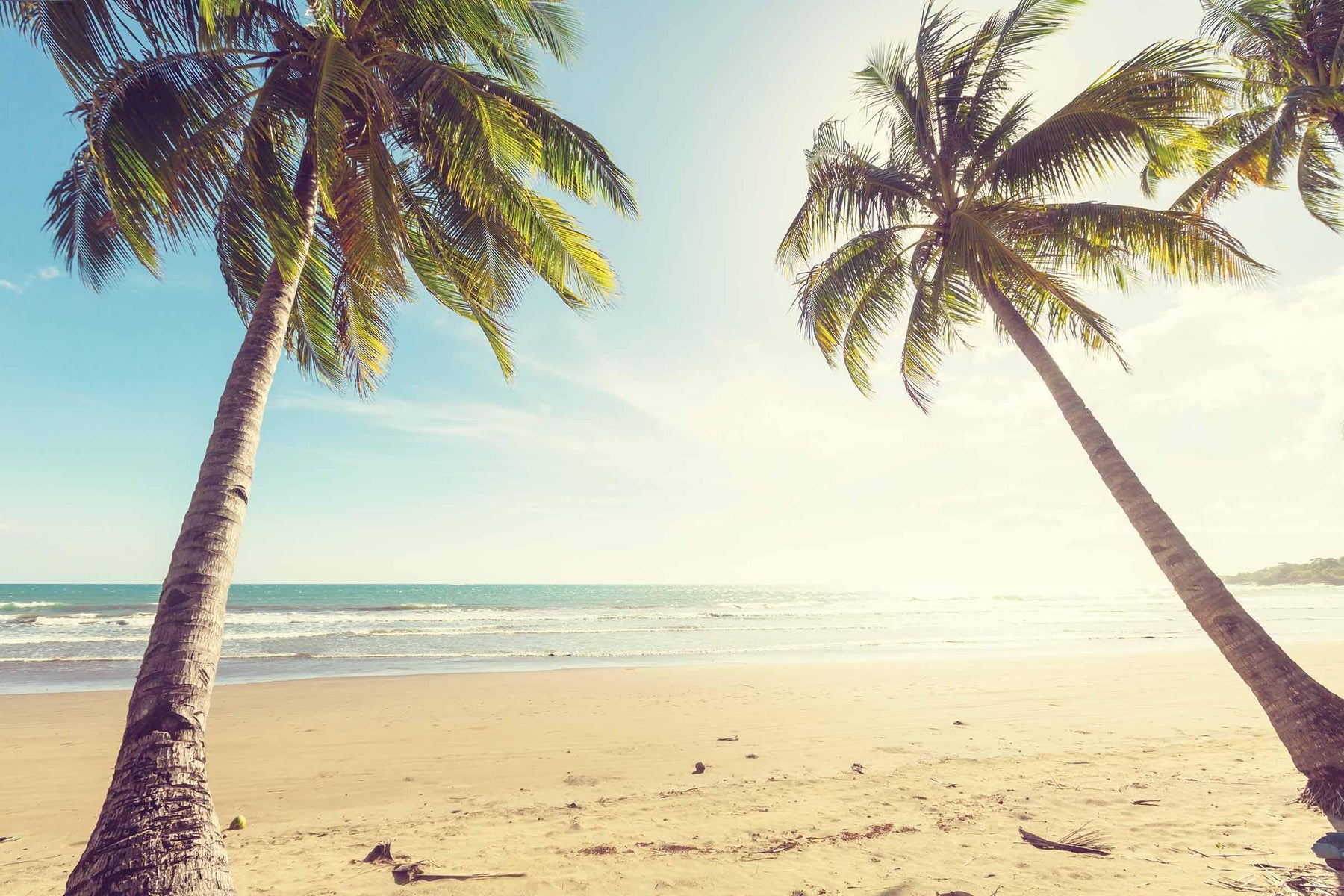 Tropical Beach Resort Wall Mural | Beach Murals | Eazywallz