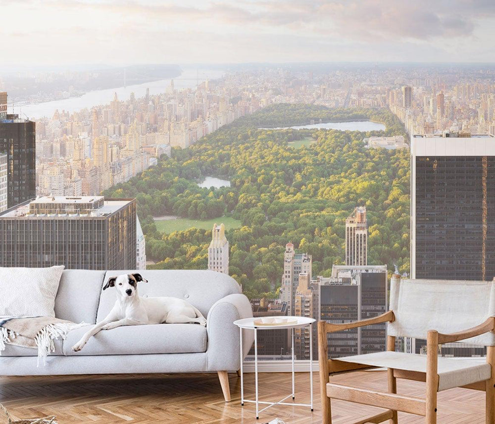 View of Central Park Wall Mural - Cityscape Wall Mural - Eazywallz