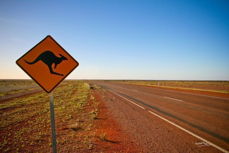 Kangaroo Crossing Sign